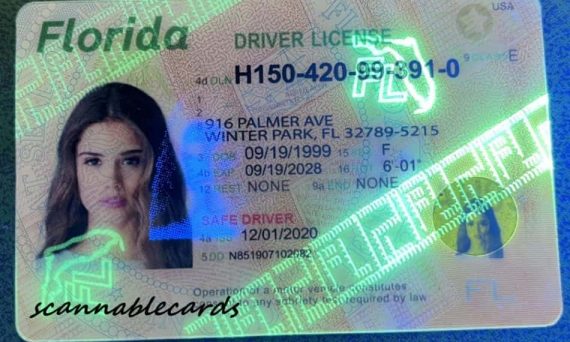 Florida Fake Id - Buy Fake Id | Best Fake Scannable Ids Online