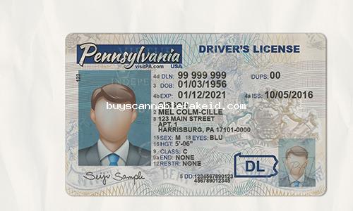 Pennsylvania Drivers License Fake Scannable - Buy Fake Id | Best Fake ...