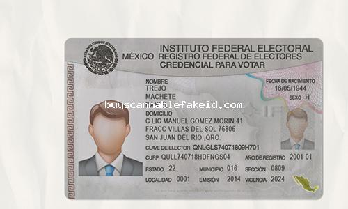 Fake Id Photo Examples - Buy Fake Id | Best Fake Scannable Ids Online