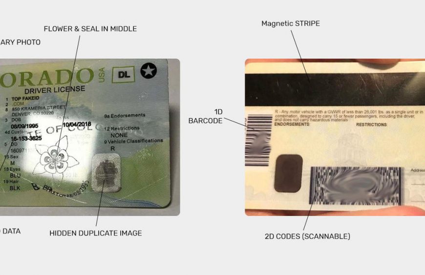 Colorado Fake Id Front And Back - Buy Fake Id | Best Fake Scannable Ids ...