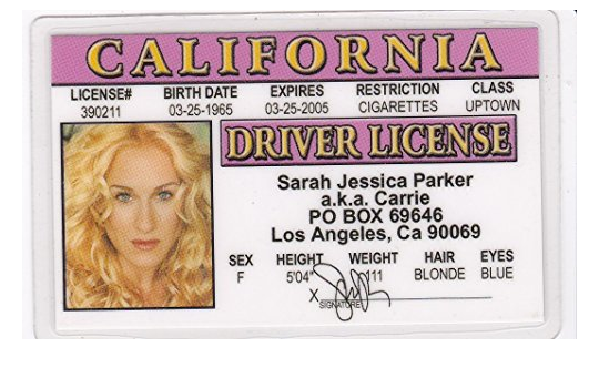 Fake Id Fake Id Chicka Chicka Yeah - Buy Fake Id | Best Fake Scannable ...