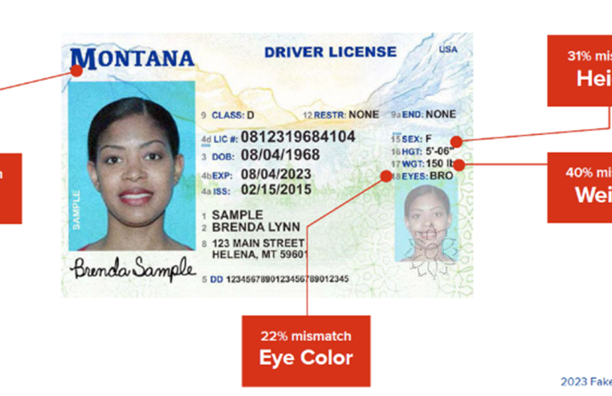 Cómo informar una identificación falsa - Comprar ID falsa | Las mejores ...