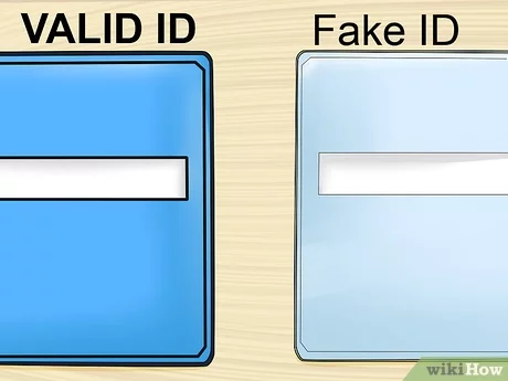 Massachusetts Fake Id Roblox - Buy Fake Id | Best Fake Scannable Ids Online