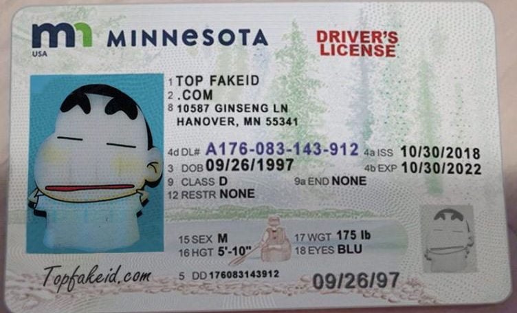 Minnesota Fake Id Templates - Buy Fake Id | Best Fake Scannable Ids Online