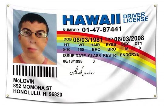 Best Hawaii Fake Id - Scannable Fake Id | Buy Best Fake Id Card Online
